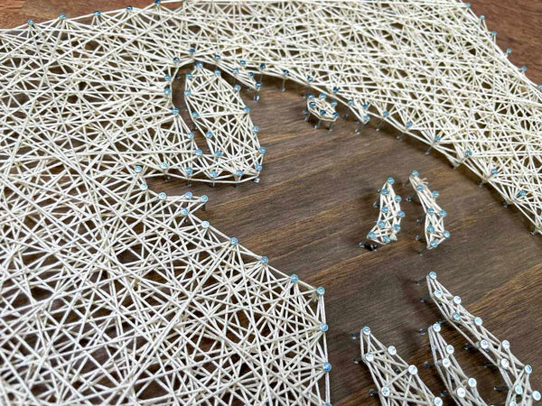 Leaping Fish String Art Kit - String of the Art